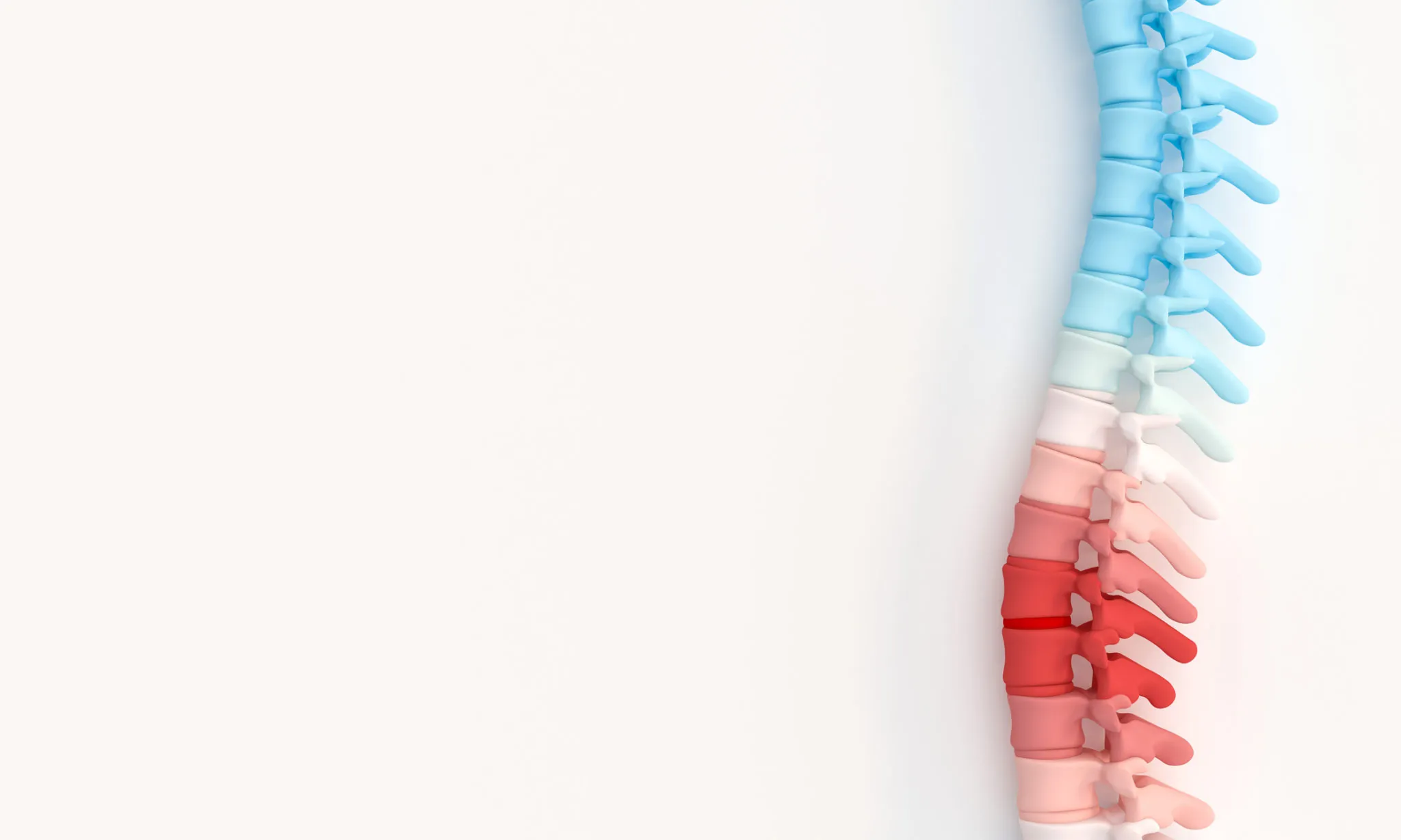 Dermatome Chart 101: Spinal Nerves, Locations - PMIR