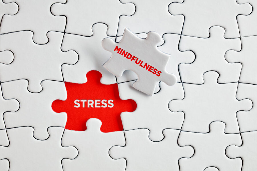 Observing National Stress Awareness Day 2022 - PMIR